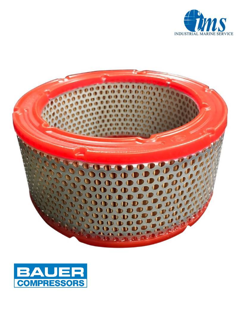 FILTRO DE ELEMENTO DE ADMISIÓN DE AIRE OEM BAUER MODELO N03029 – IMS ...